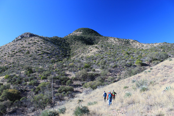 Mustang Mountains, Arizona, March 2018– GlassMountains Trip Reports