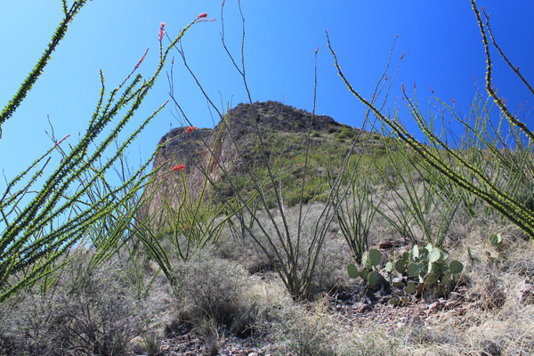 Mustang Mountains, Arizona, March 2018– GlassMountains Trip Reports